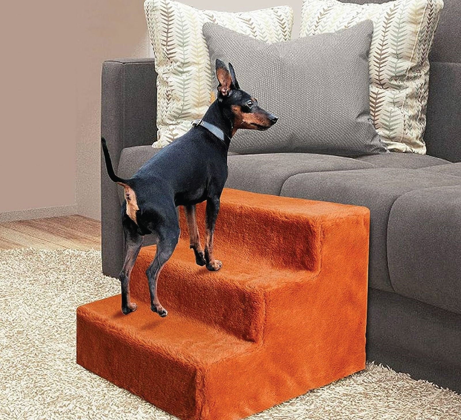 Elevate Your Pet’s Comfort: Introducing Our Premium Dog Step - Zaampro